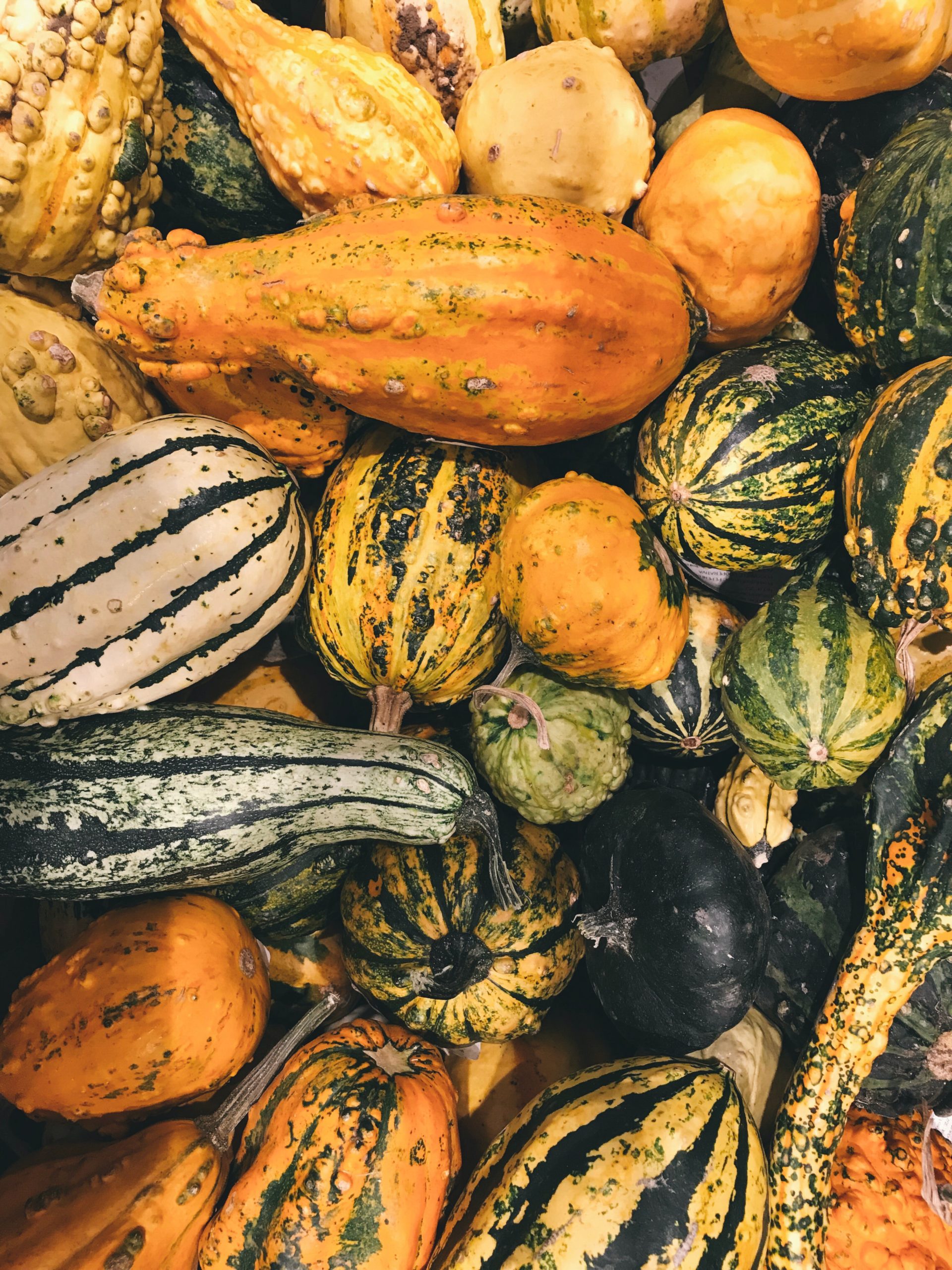 Fried Winter Squash With Mint | Joseph Treves
